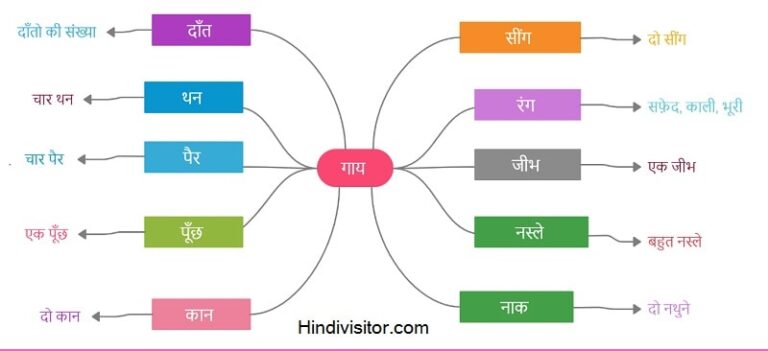Mind Mapping kya hai - फोटो सहित उदाहरण - हिंदी Visitor